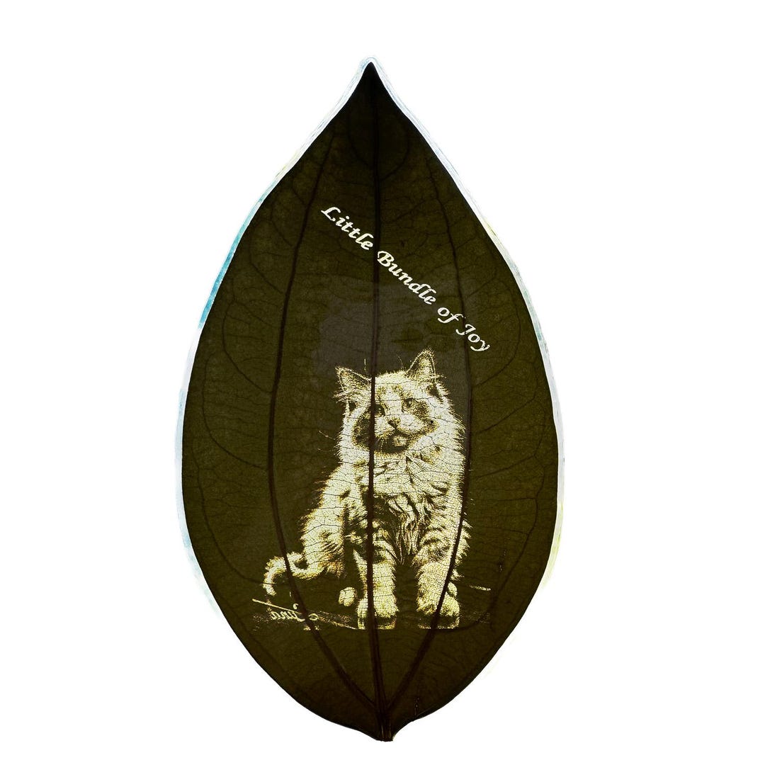 Real Peace Leaf Photo Carving, 8-inch Lighted Frame - Etsy