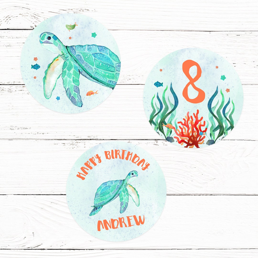Set of 3 Turtle Stickers | Sea Turtle Birthday Party - Etsy