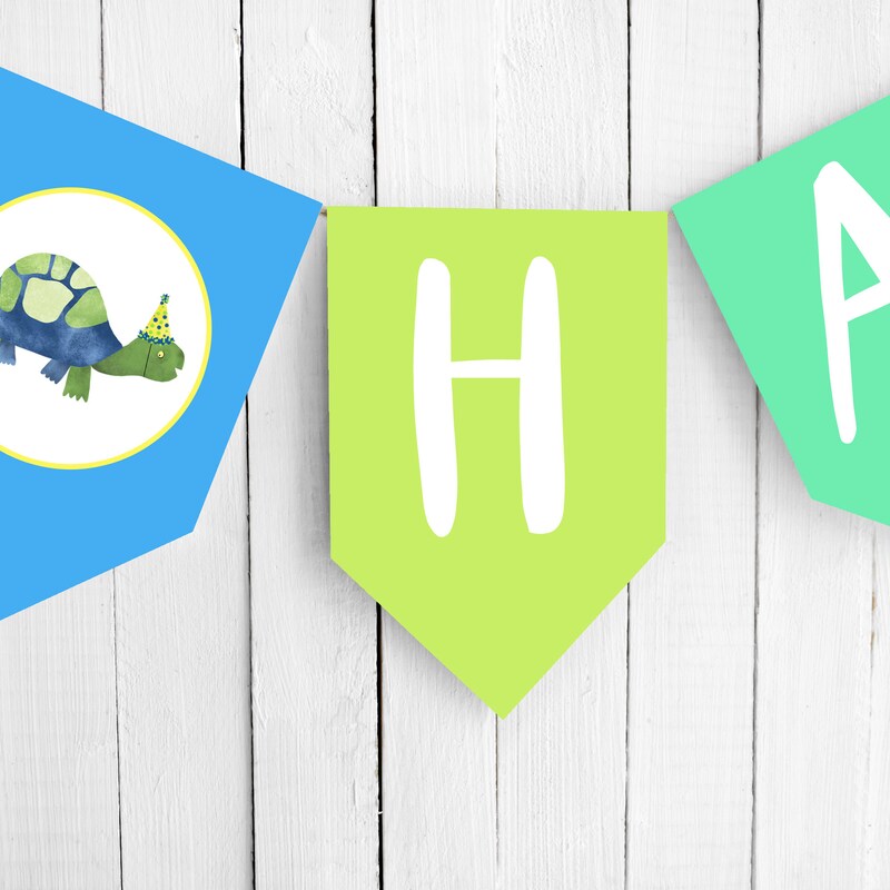 Turtle Birthday Party - Etsy