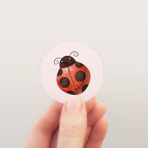 Set of 3 Ladybug Stickers | Personalized Ladybug Birthday Party Decor ...