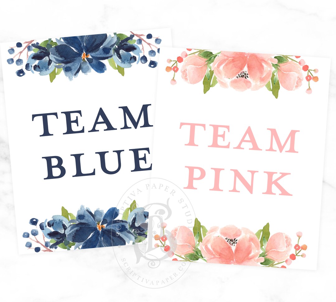 Team Blue and Team Pink Baby Shower Signs - Etsy