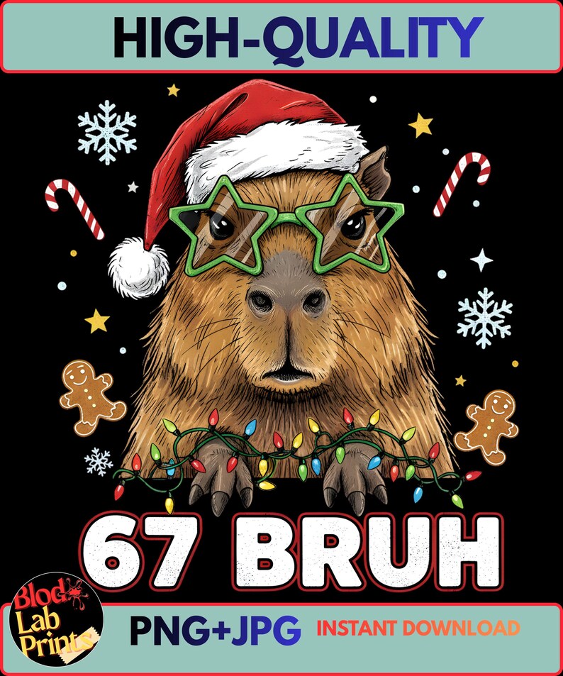 67 Bruh Capybara Christmas PNG, Last Day of School, Winter Break ...