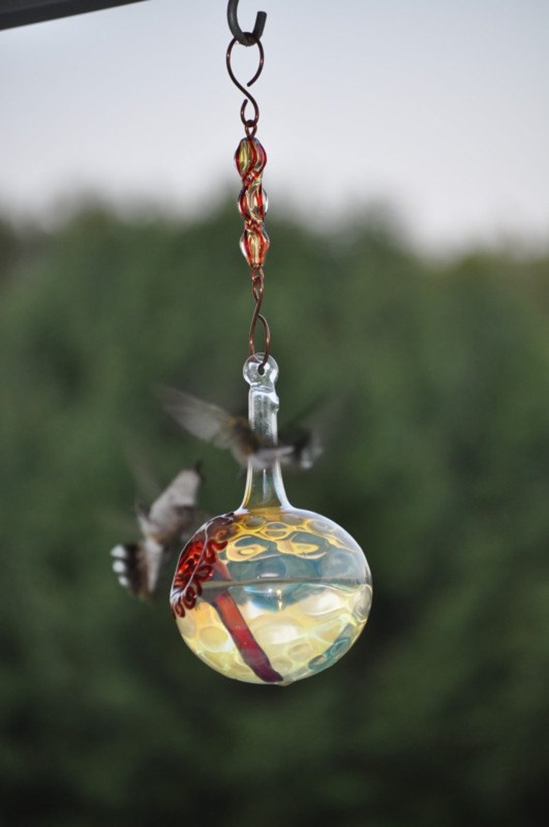 SH1+- Best Glass Hummingbird Feeder, With Decorative Hanger, No Drip ...