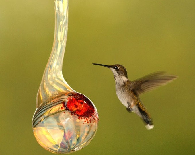 COG the Kennedy Style Hummingbird Feeder the Original One - Etsy