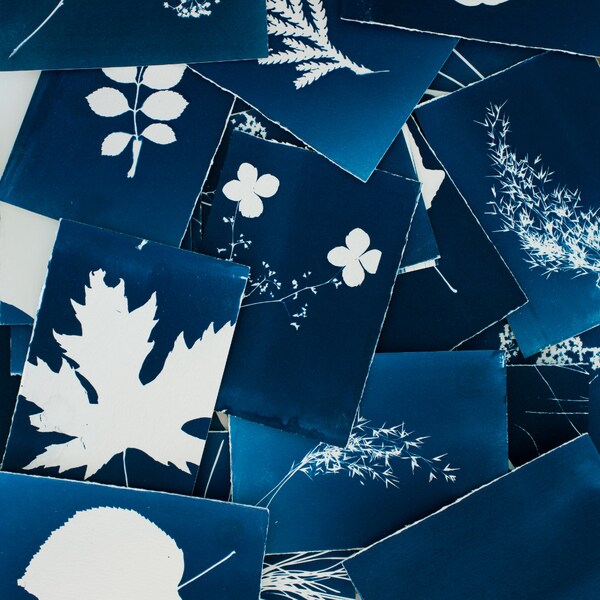 Cyanotype Kit - Etsy UK