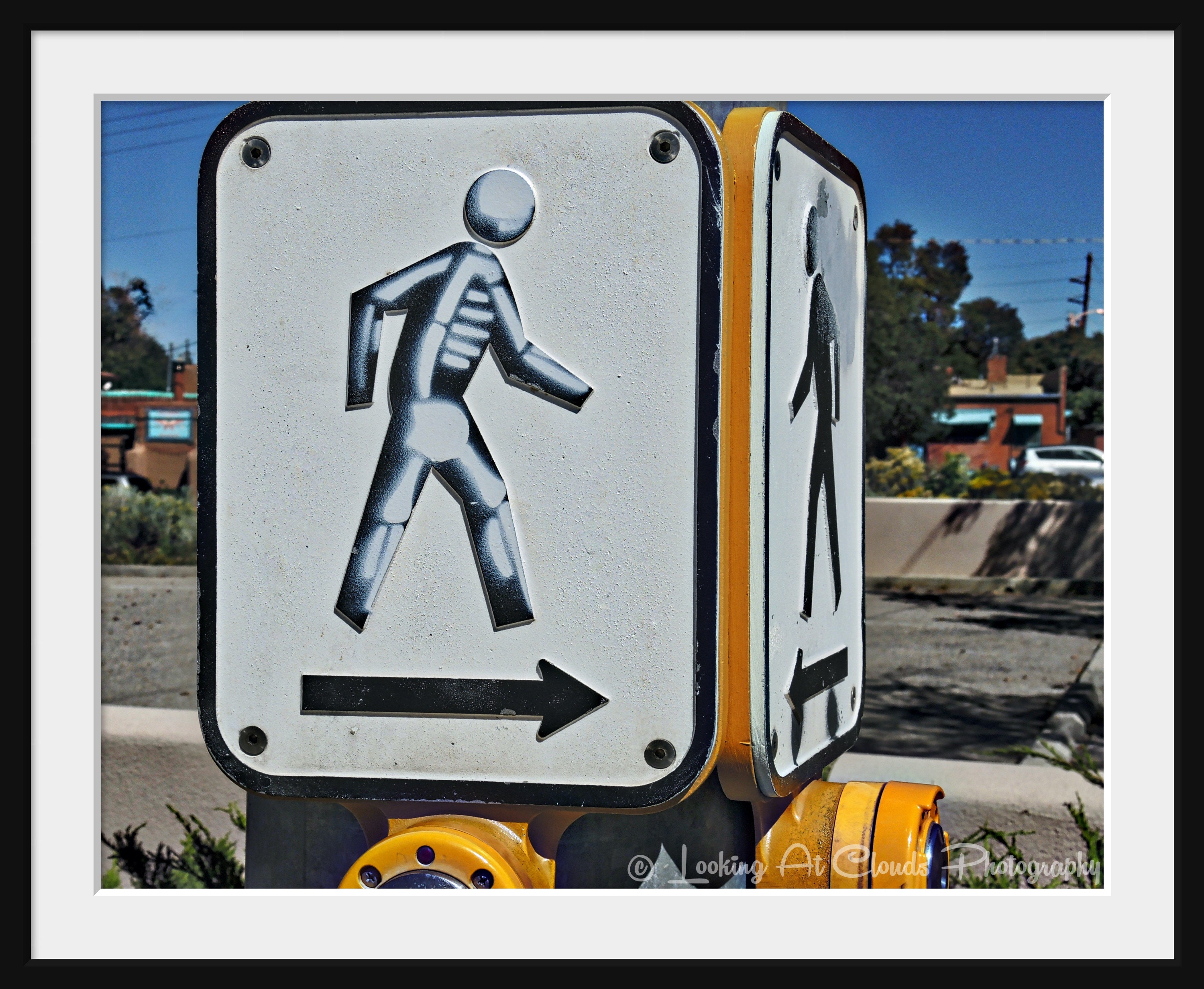 Pop Art Skeleton Crossing City Scene Art Photo Urban Fun - Etsy
