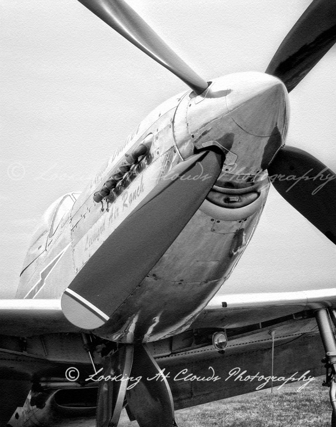 Mustang Propeller, Aviation Photo, Black and White Airplane Art, Pilot ...