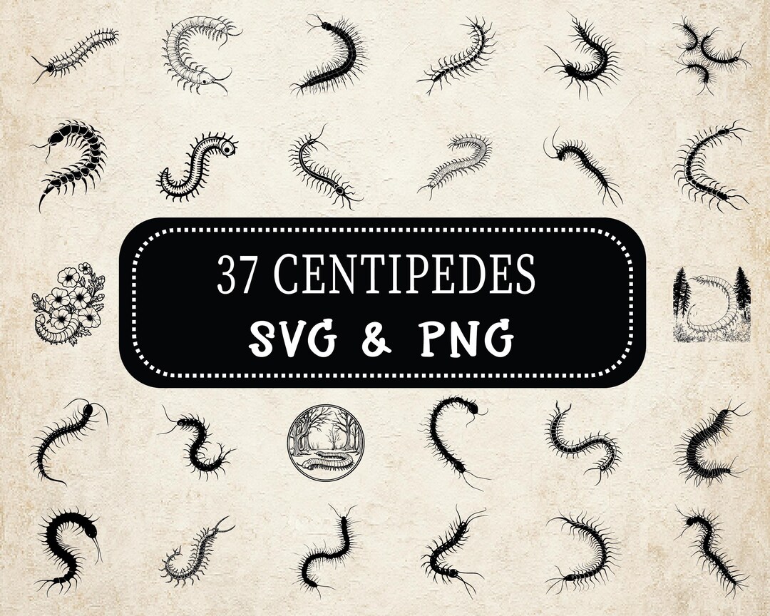 Centipede SVG PNG Bundle: Insect Silhouette Cut Files (digital Download ...