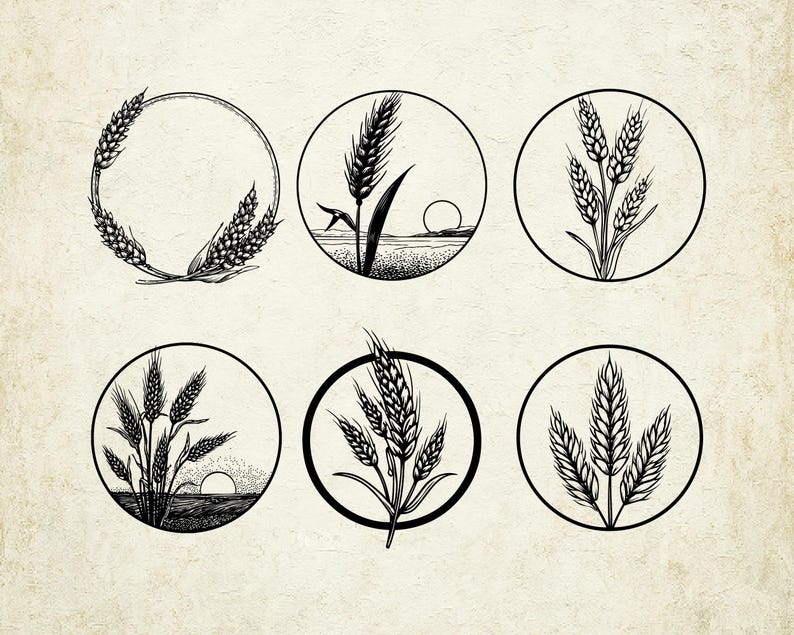 Wheat SVG PNG Bundle, Wheat Silhouette, Farm Crop Clipart, Wheat Cricut ...