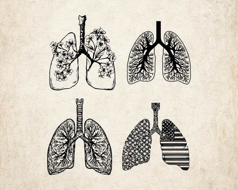 Human Lung SVG PNG Bundle, Anatomy Silhouette Clipart, Medical Cricut ...