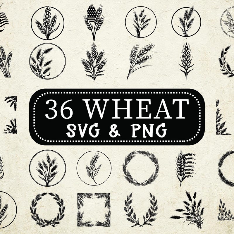 Wheat Svg - Etsy