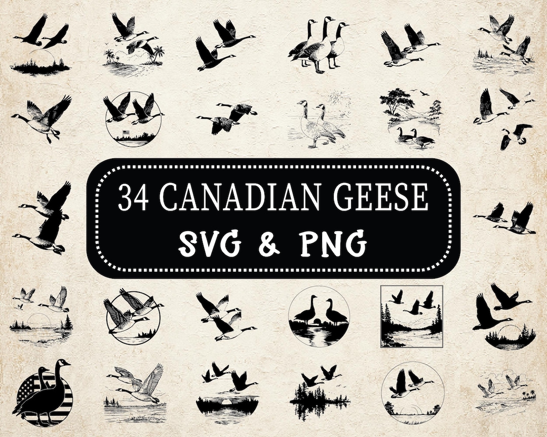 Canadian Geese SVG PNG Bundle | Goose Silhouette Vector | Cricut Cut ...