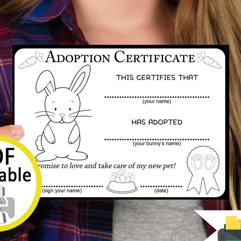 Certificate Coloring - Etsy