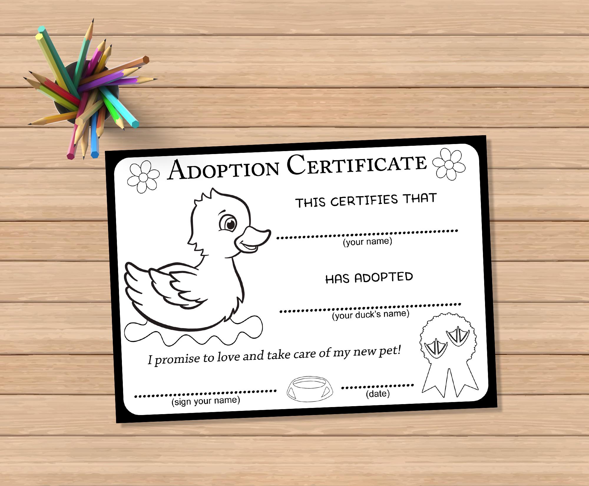 Printable Duck Adoption Certificate & Coloring Pages: (PDF Digital ...