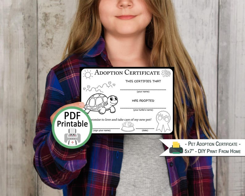 Printable Turtle Adoption Certificate and Coloring Pages - Etsy