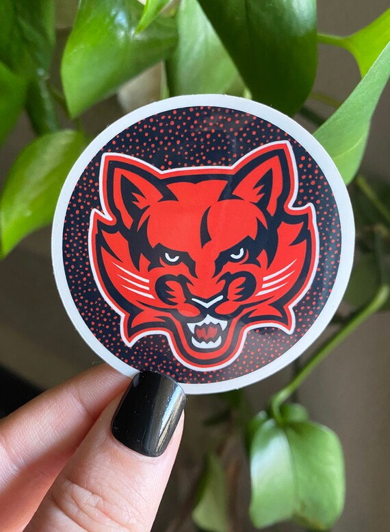 Bearcats Laptop Covers