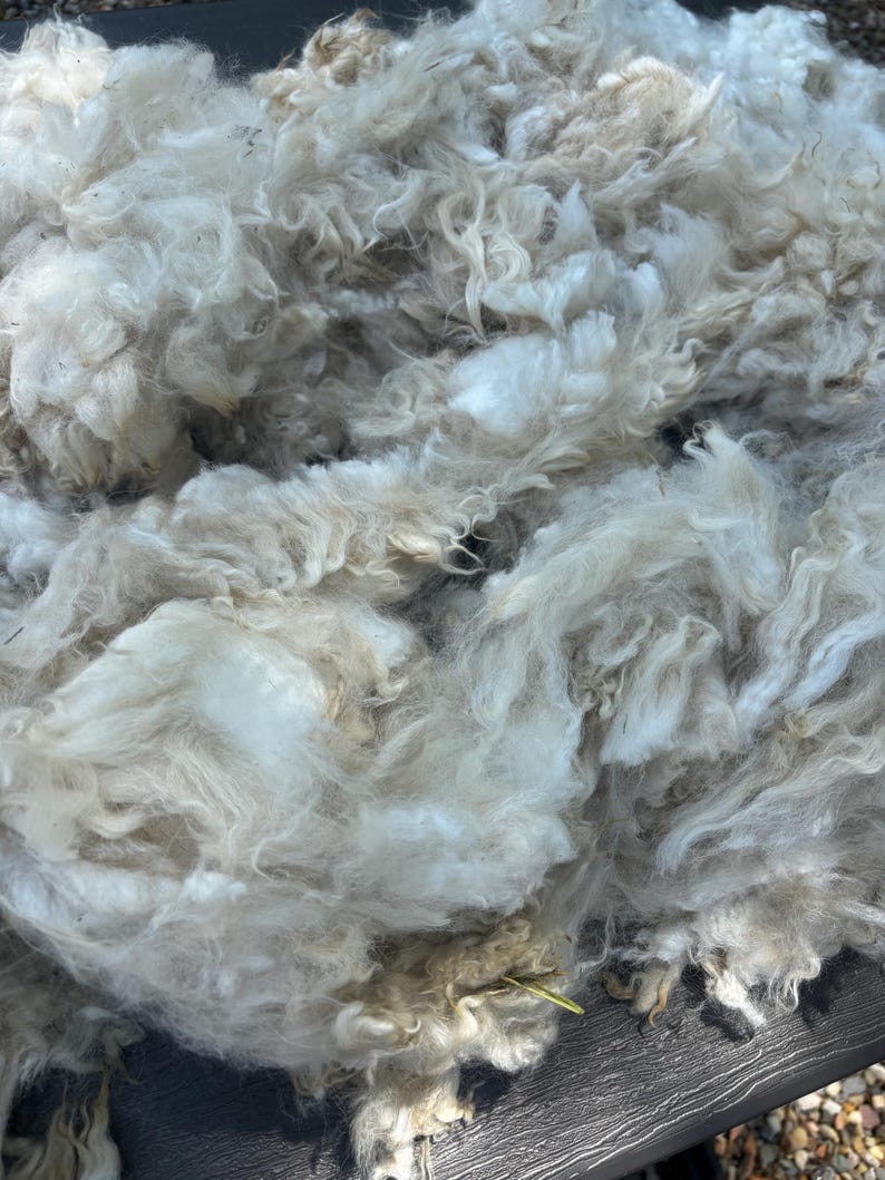 Alpaca Fleece Fiber Raw Cria First & Second Cutting - Etsy