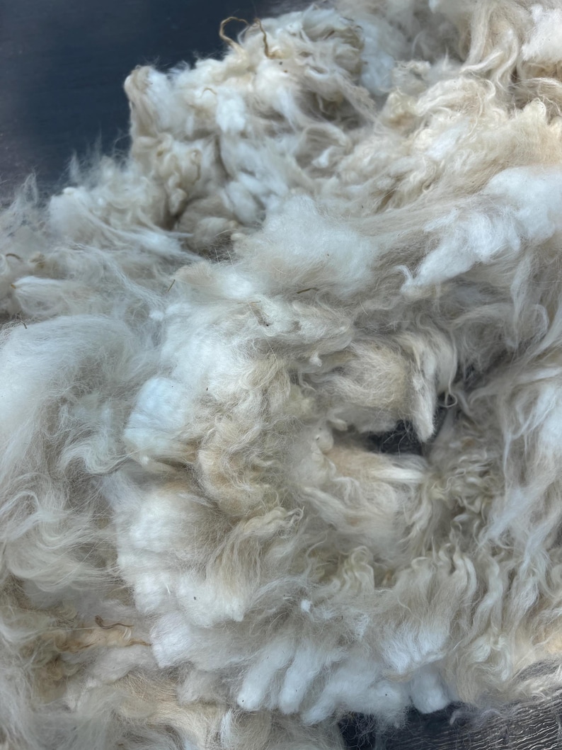 Alpaca Fleece Fiber Raw Cria First & Second Cutting - Etsy