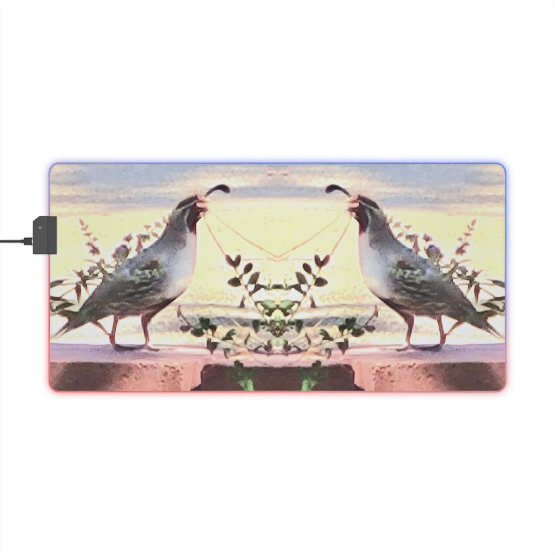 Vintage Roadrunner LED Gaming Mouse Pad With Colorful Lighting, Gamer ...