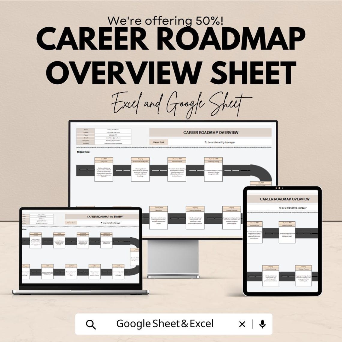 Career Roadmap Overview Sheet - Excel & Google Sheets Template for ...