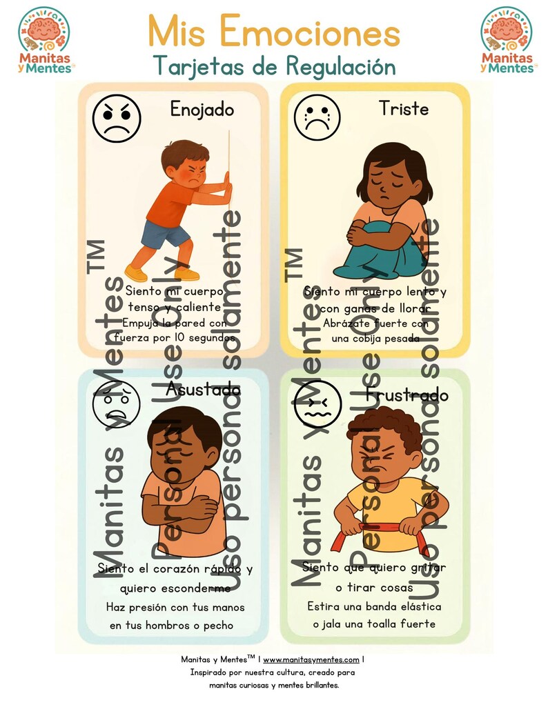 My Emotions – Regulation Cards (spanish Edition) - Etsy