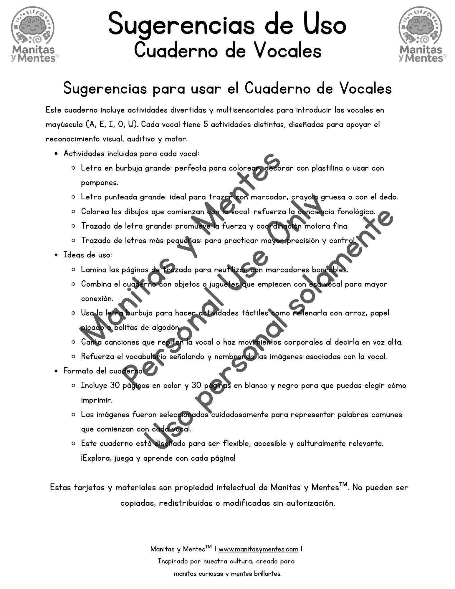 Aprendemos Las Vocales!- Vowels Workbook - Etsy