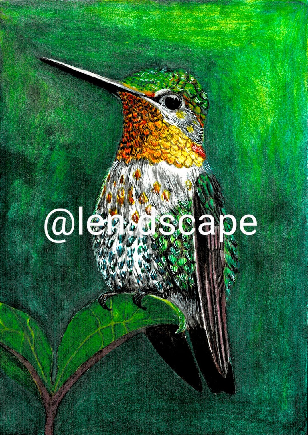 Watercolor "green Colibri" - Original Drawing/prints/stickers/magnets ...