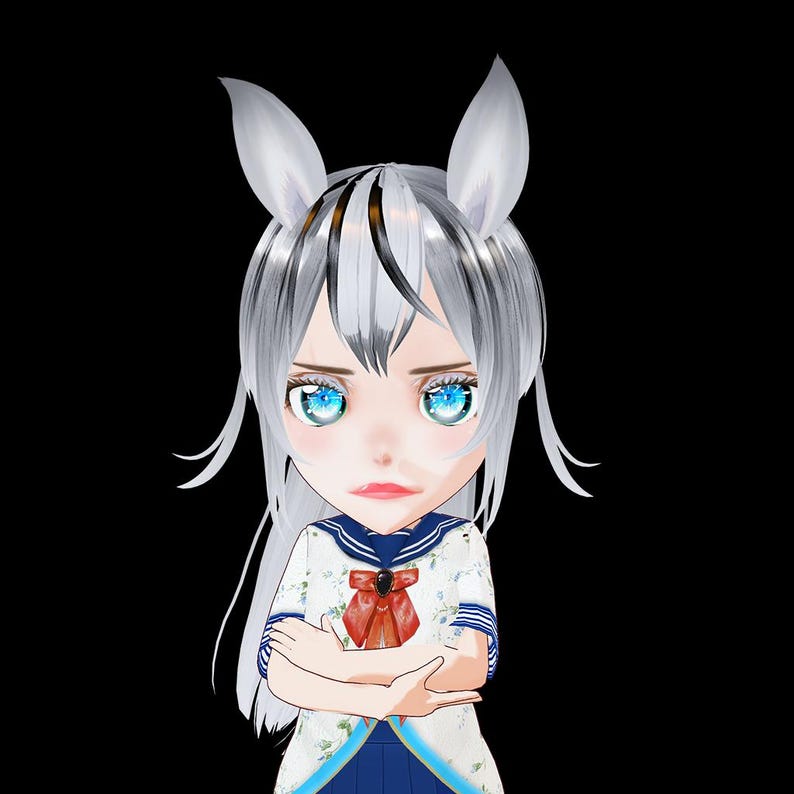 4 Types of VRM Avatar & Pngtuber Png Files - Etsy UK