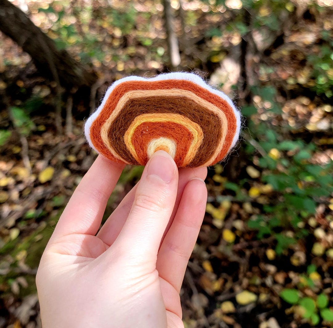 Needle-felted Orange Tree Fungus, Fridge Magnet, Custom Handmade Wool ...