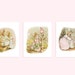 PETER RABBIT Pink Nursery Wall Art for Girls, Peter Rabbit Prints ...