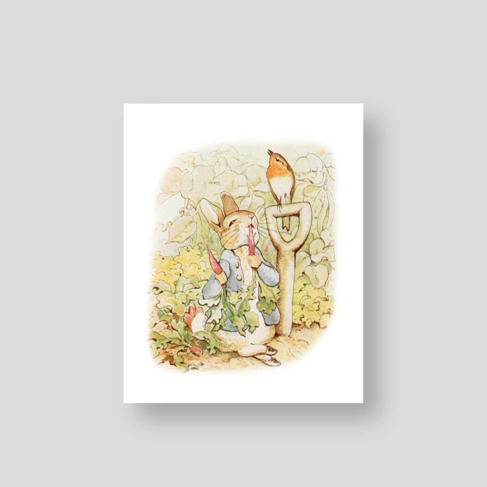 Peter Rabbit Nursery Decor Beatrix Potter Art Prints or CANVAS Baby Boy ...