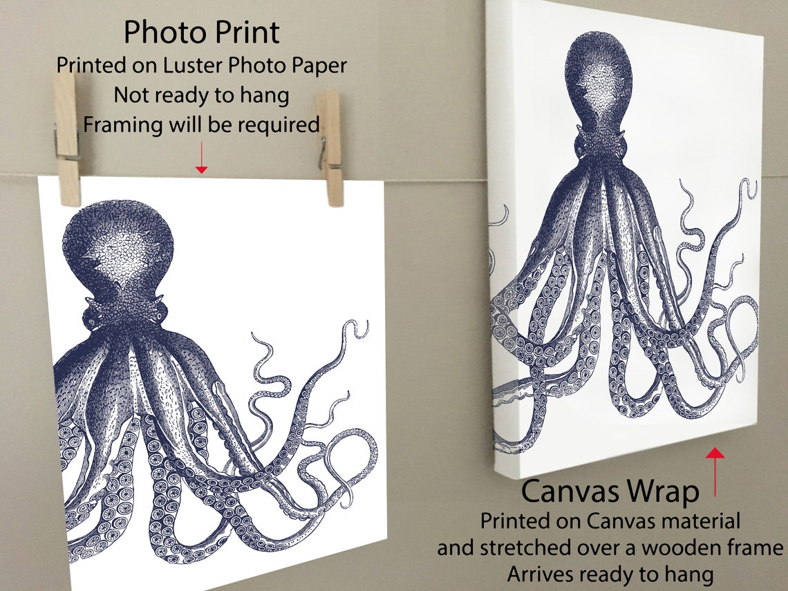 Navy Octopus Print Art Coastal Wall Decor Nautical Wall Art - Etsy