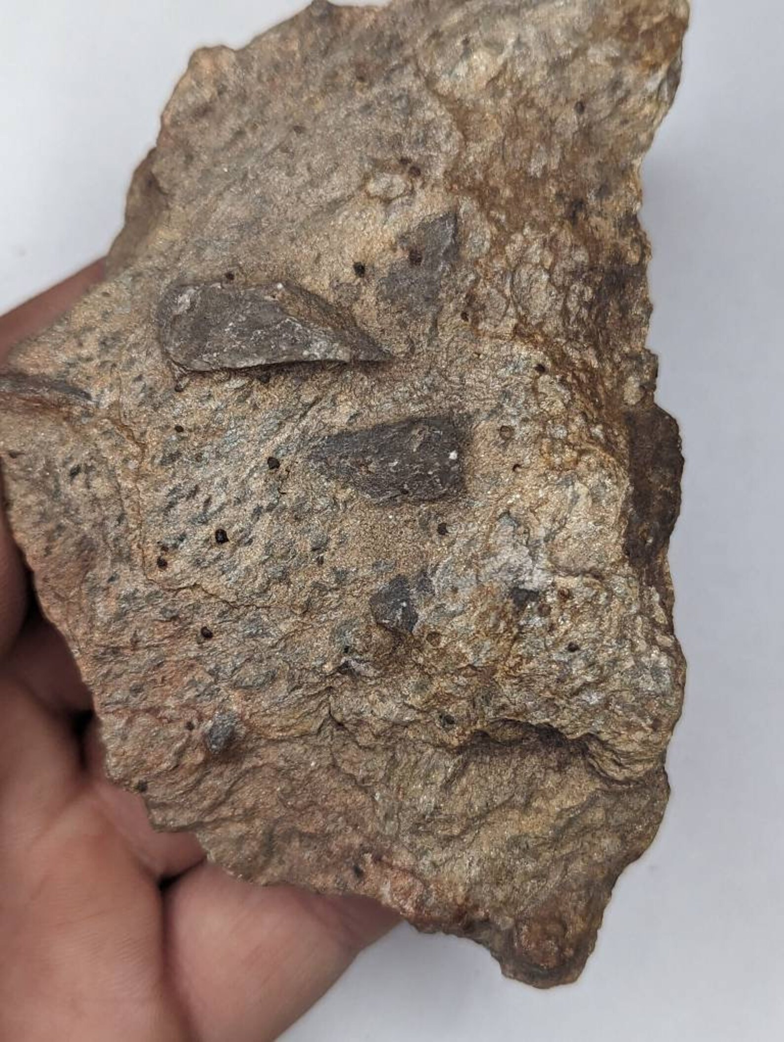 Fairy Cross Stones, Staurolite, in Matrix W Garnets, Virginia - Etsy