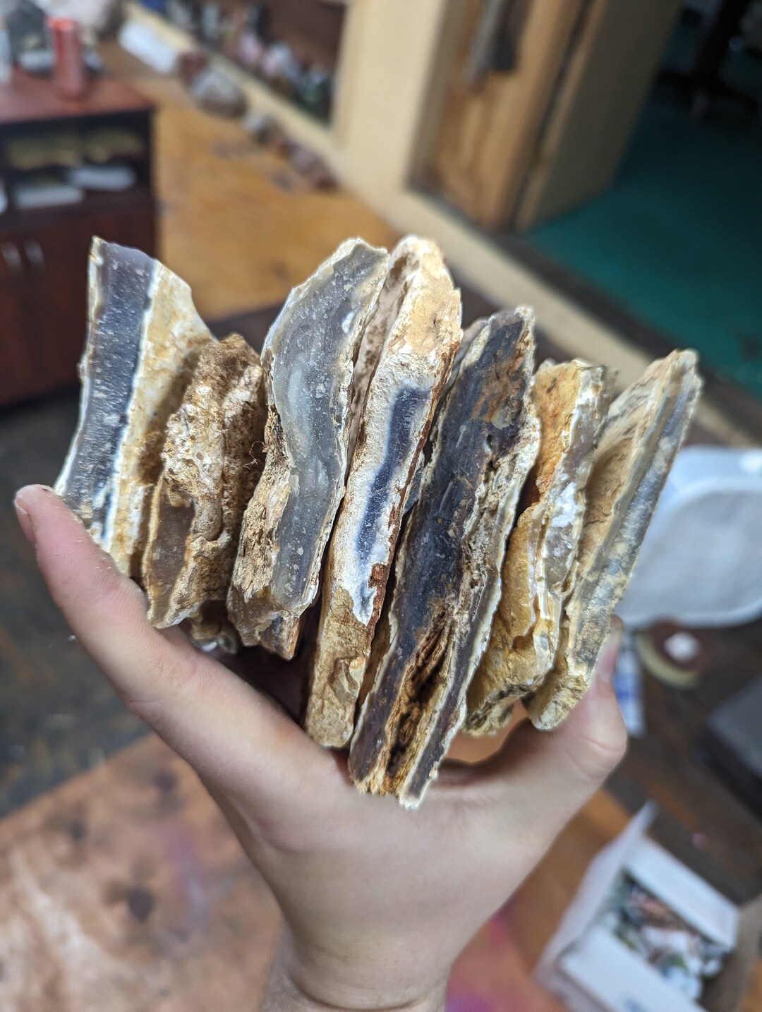 Huge 15lb Bulk Lot, Great for Knapping, Coral/chert/flint From Dothan ...