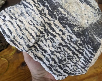 Rough Zebra Jasper - Etsy