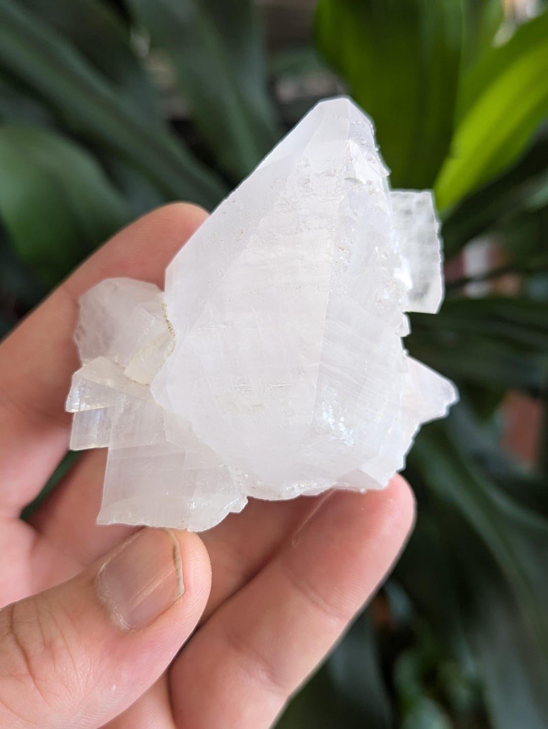 Mangoan Pink Calcite, Tate Mine, Ballground Georgia - Etsy