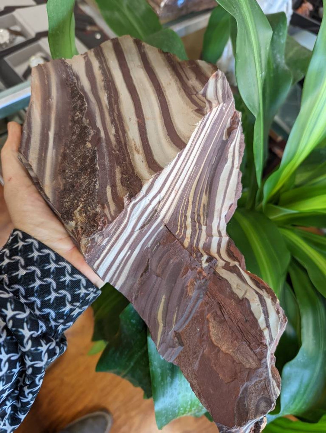 Huge 10lb Display Zebra Jasper Rough - Etsy