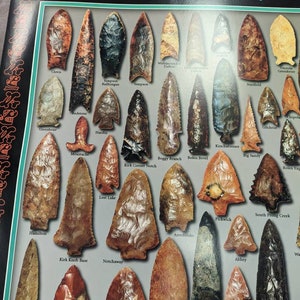 Southern Arrowhead Types Educational Poster - Etsy