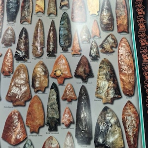 Southern Arrowhead Types Educational Poster - Etsy