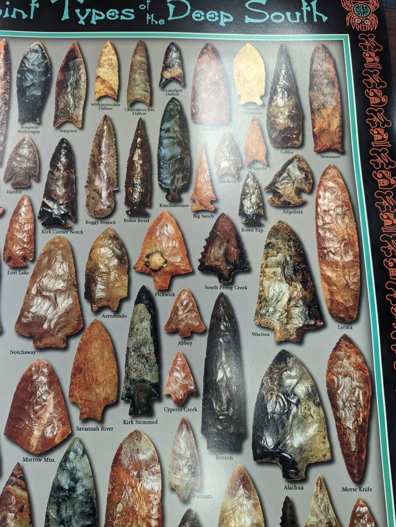 Southern Arrowhead Types Educational Poster - Etsy