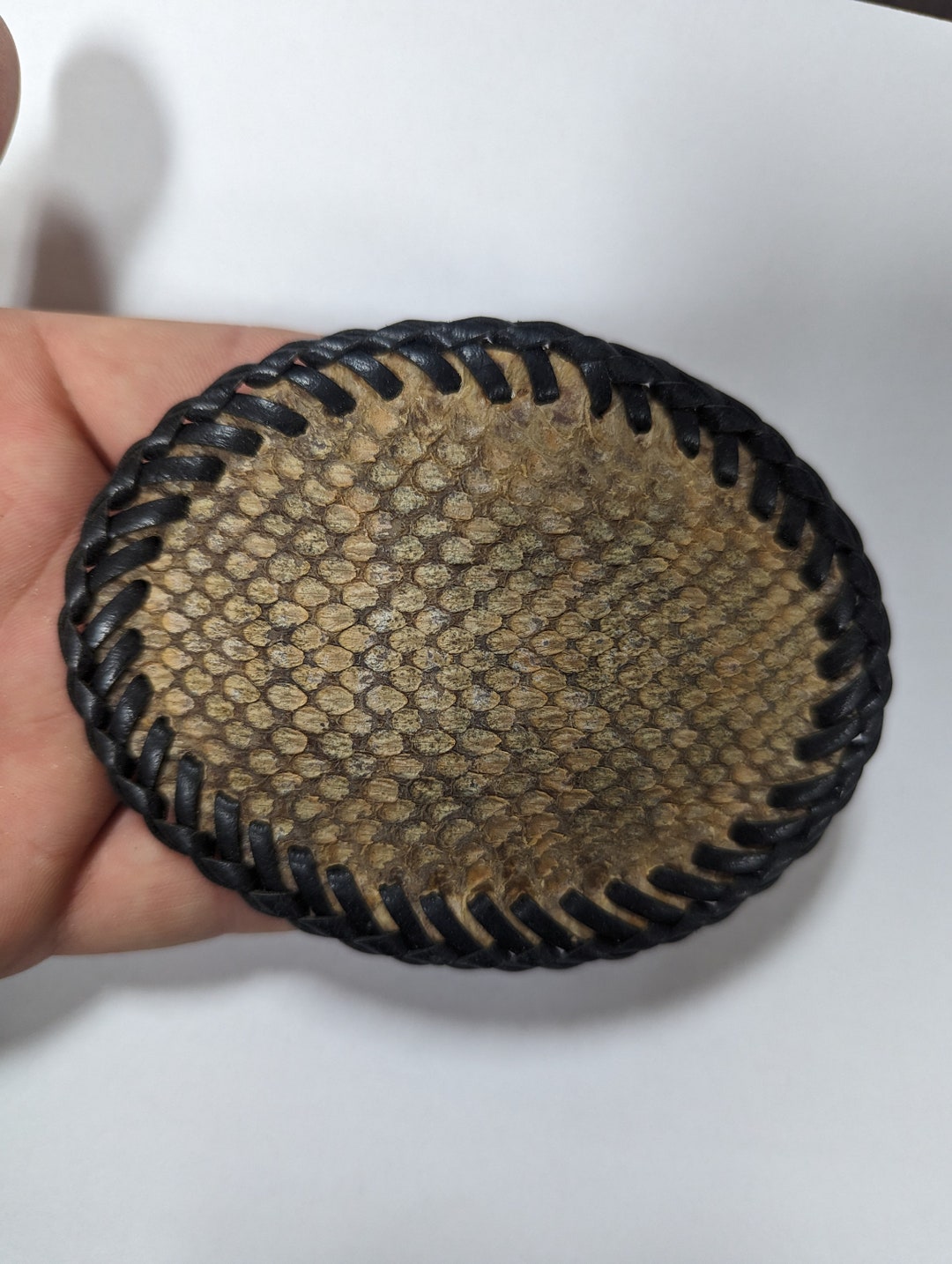Vintage Rattlesnake Skin Belt Buckle - Etsy