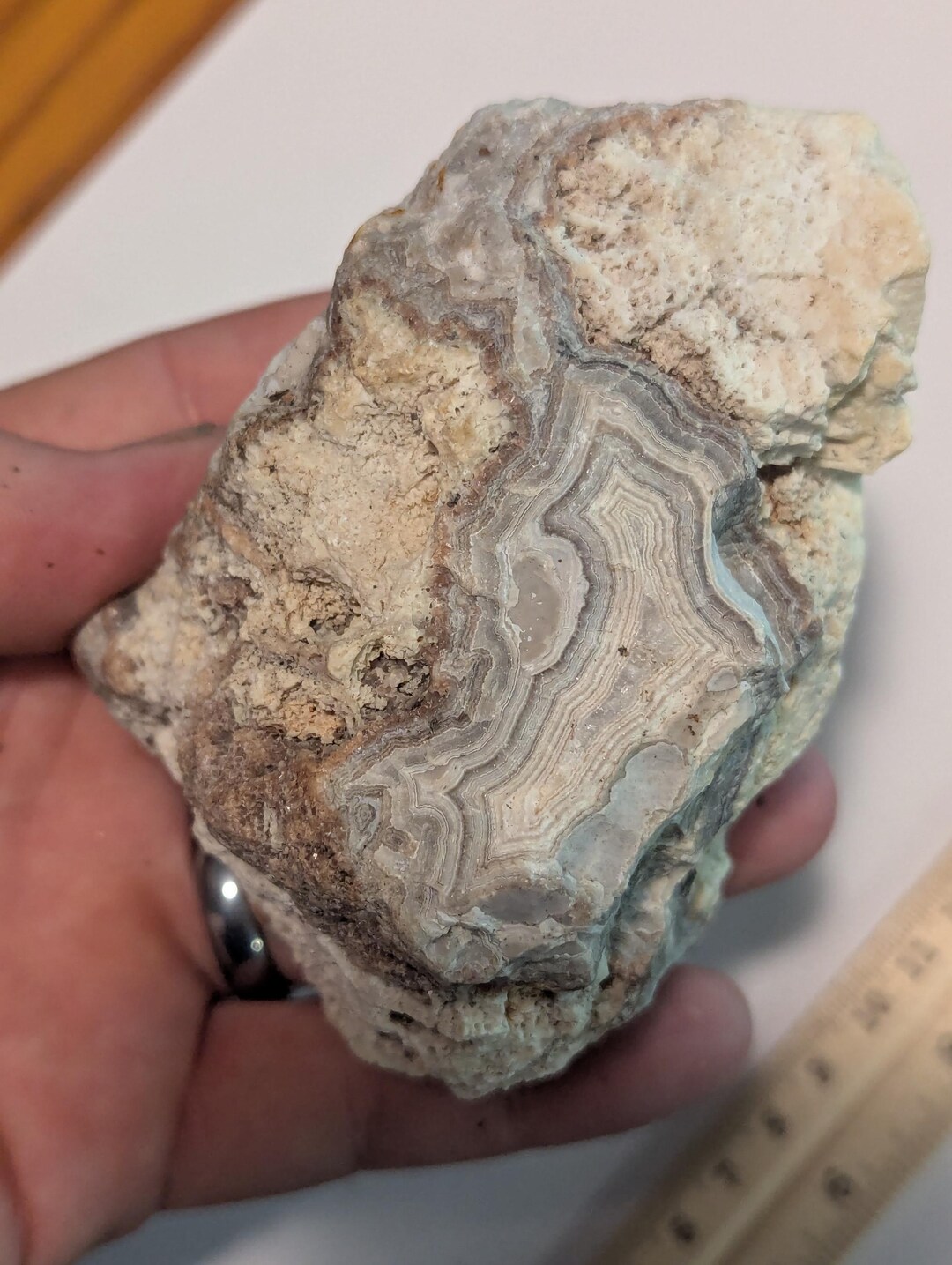 Nice Pattern and Banding, Big 1.1lb Crazy Lace Agate From Summerville ...