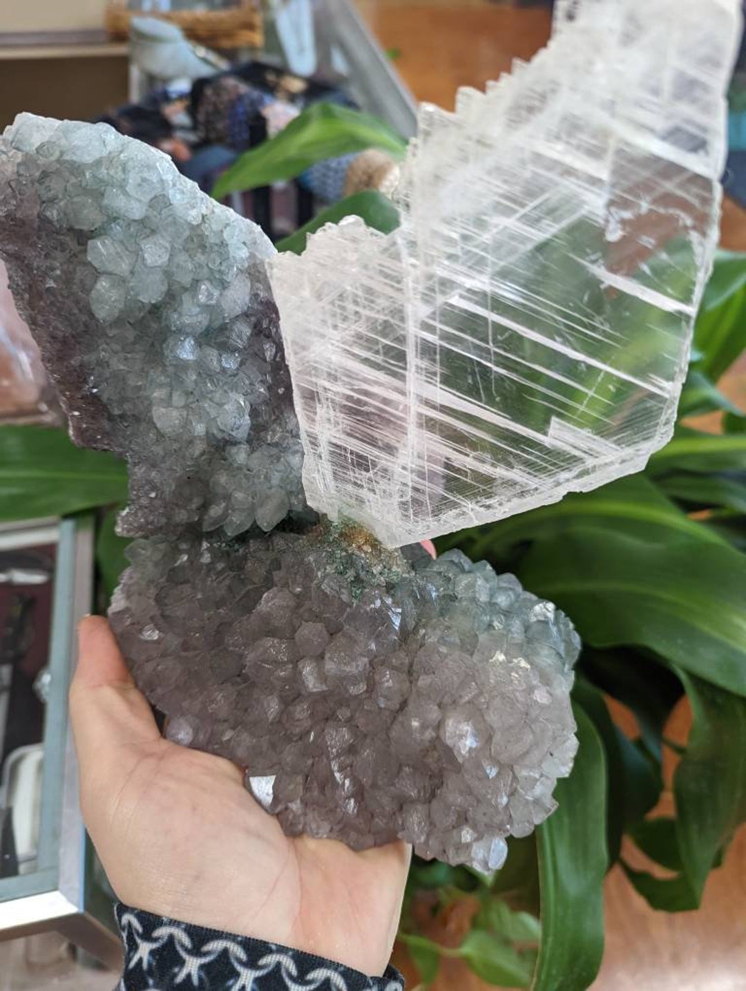 Large 4.9lb Selenite on Amethyst Crystals Cluster, Decorator Specimen ...