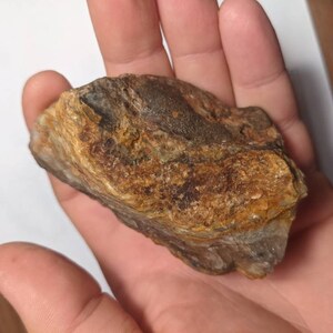 Rare Kentucky Agate Slab - Etsy