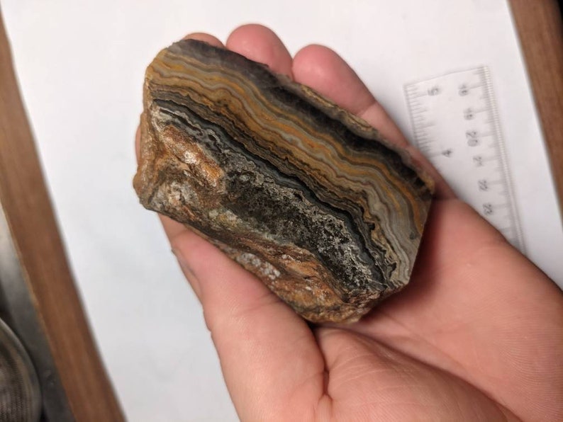 Rare Kentucky Agate Slab - Etsy