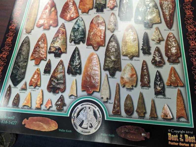 Southern Arrowhead Types Educational Poster - Etsy