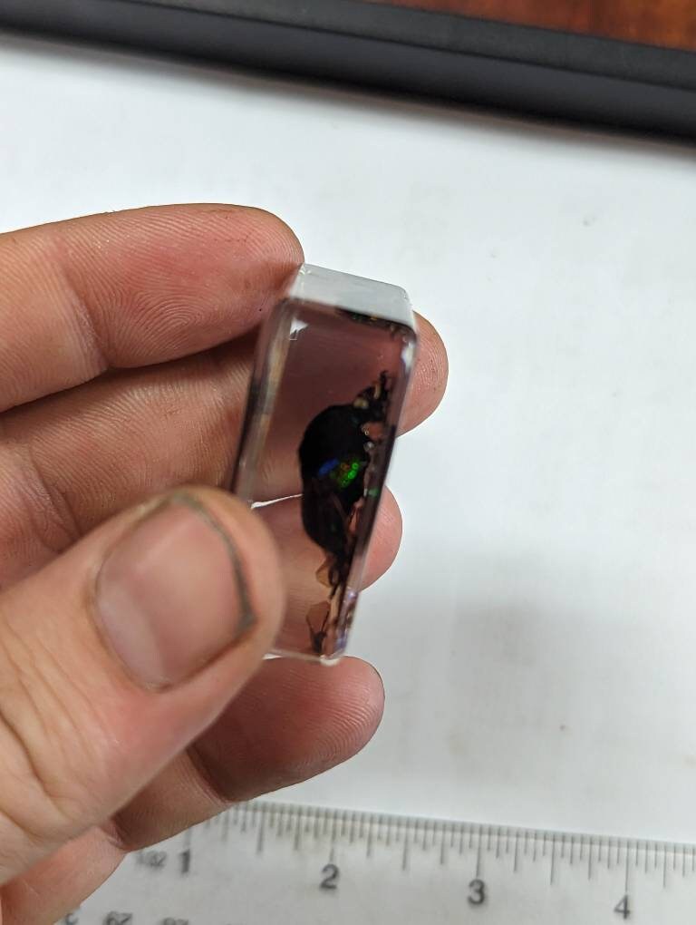 Rainbow Scarab Beetle - Modern Day Fossils - Preserved in Lucite Resin ...