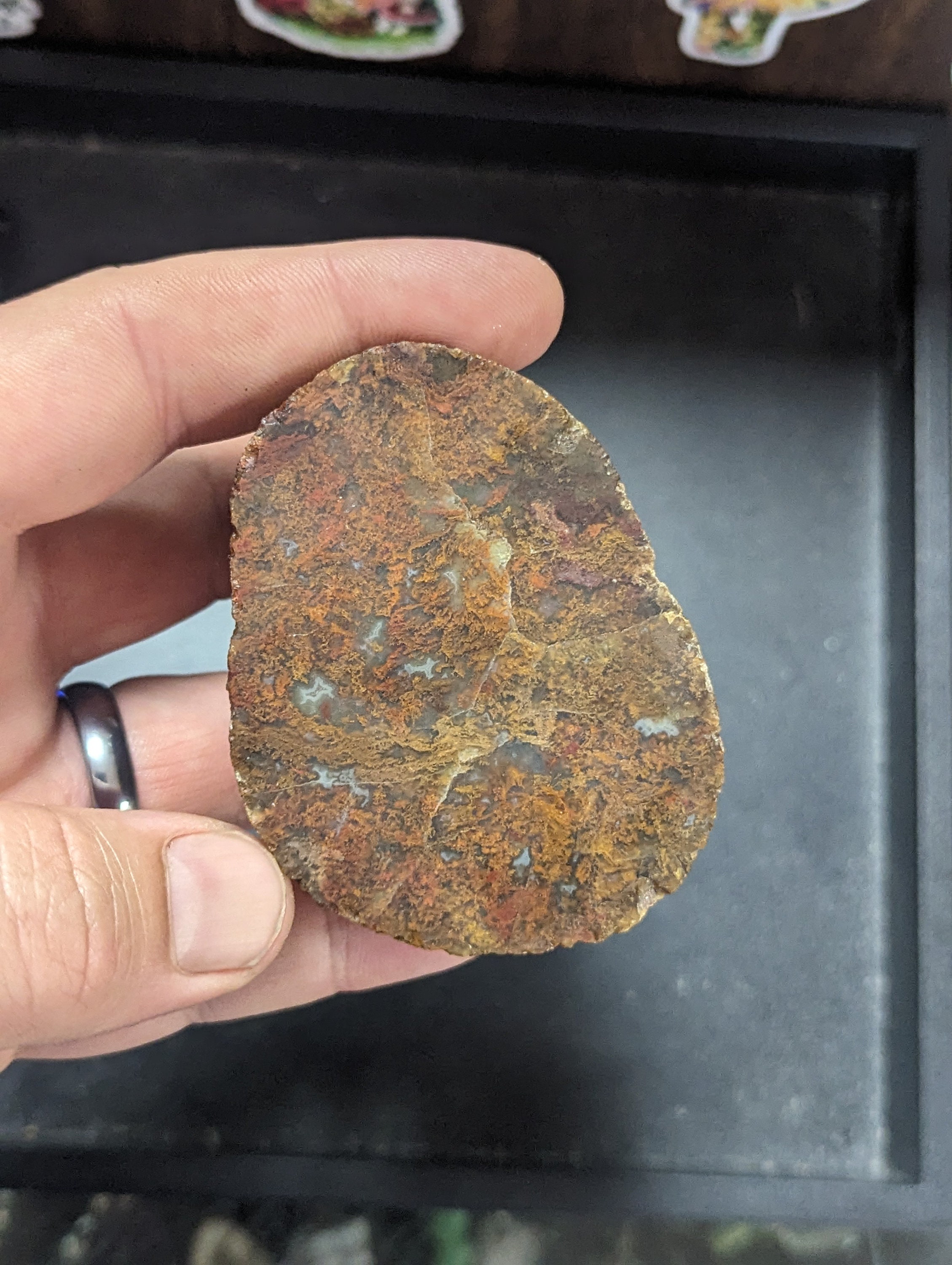 Large Rare Orange Moss Agate Crystal From Oregon - Etsy