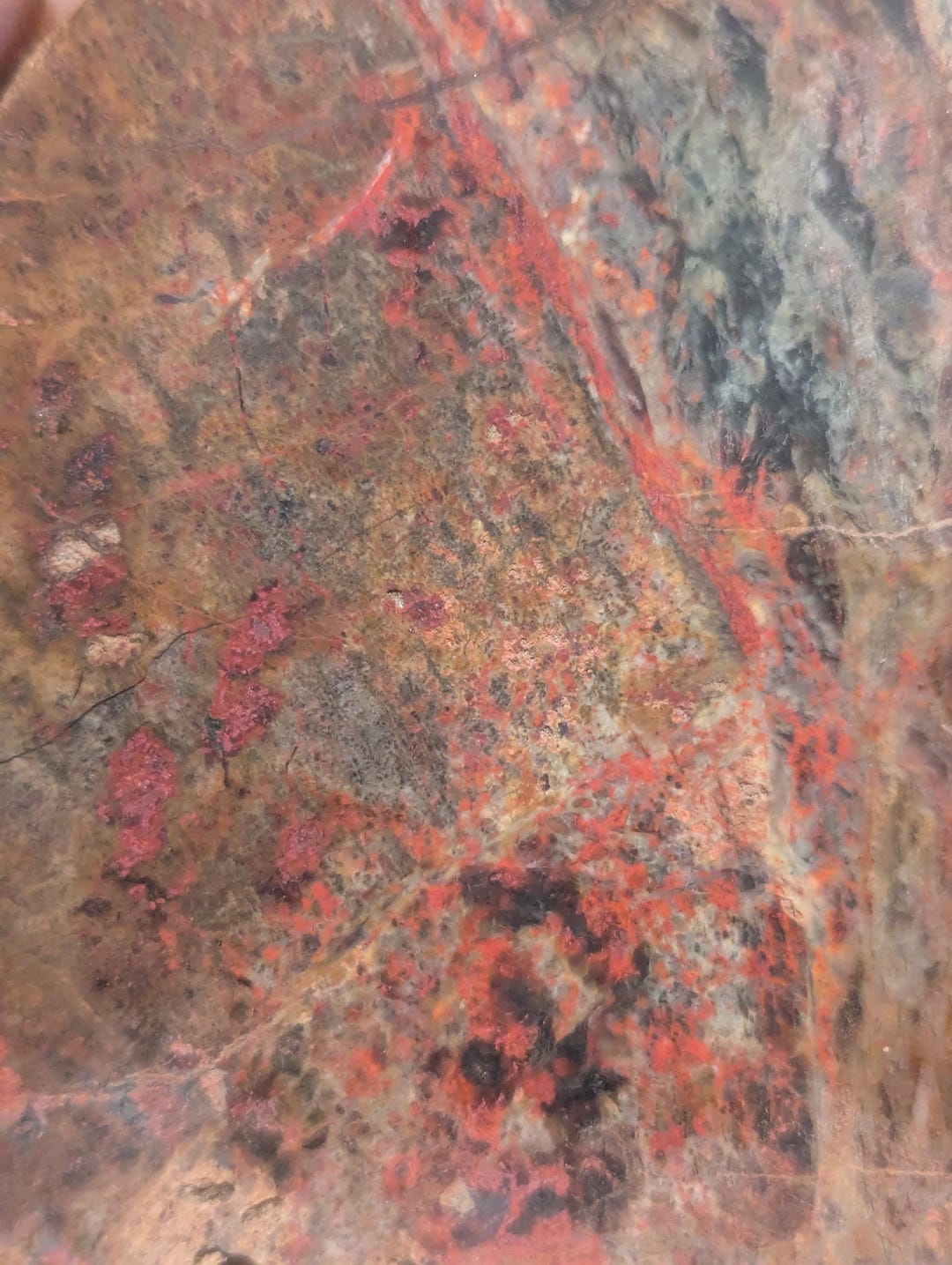 Large Plasma Agate / Bloodstone Jasper Slab - Etsy