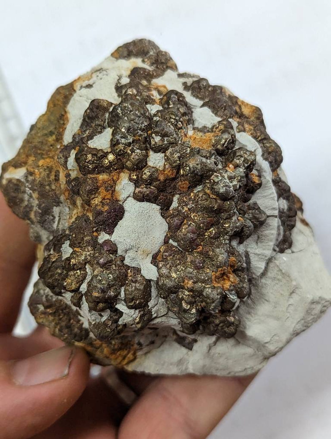 Huge, Marcasite on Matrix Nodule "prophecy Stone" From Alabama - Etsy